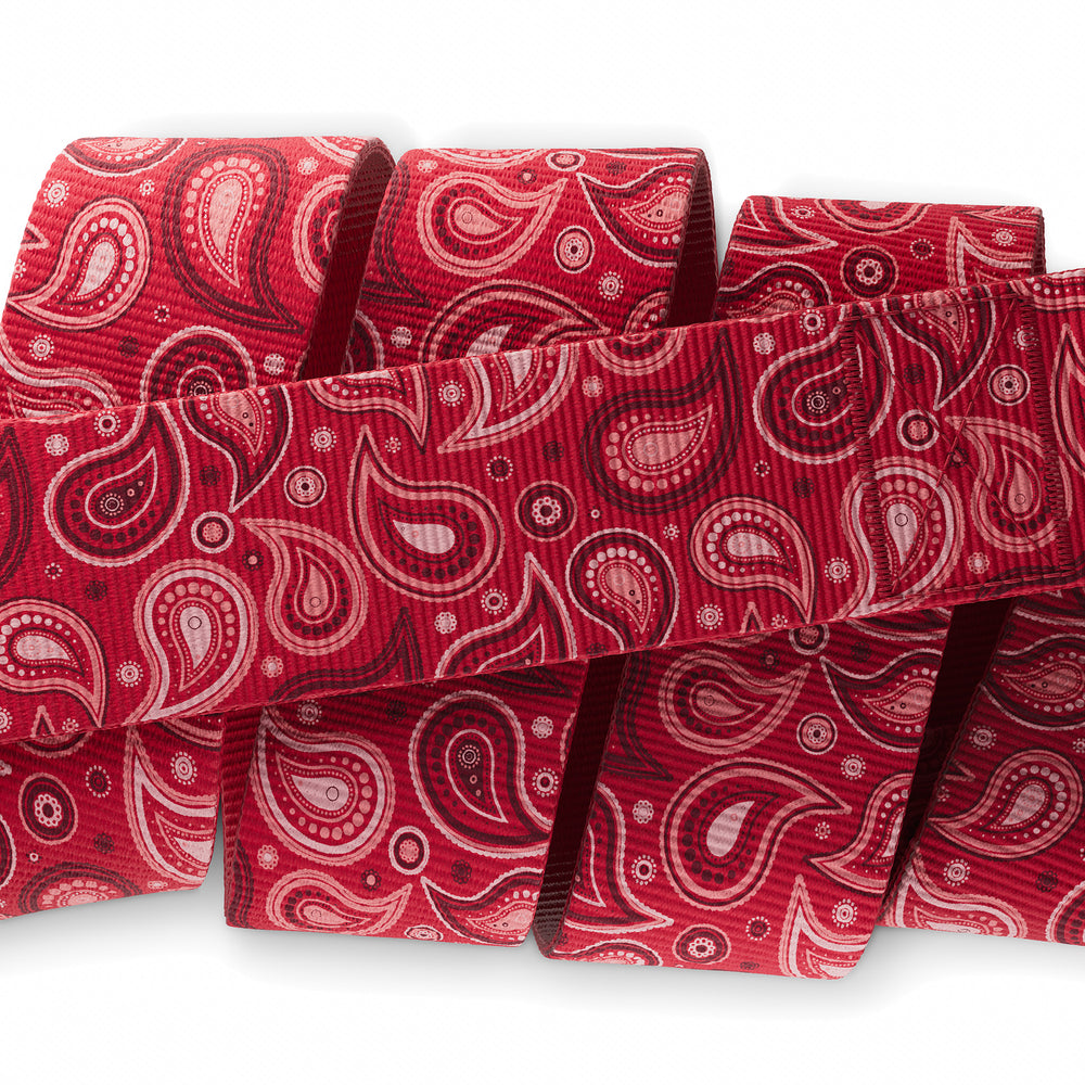 Edge Belt // Paisley